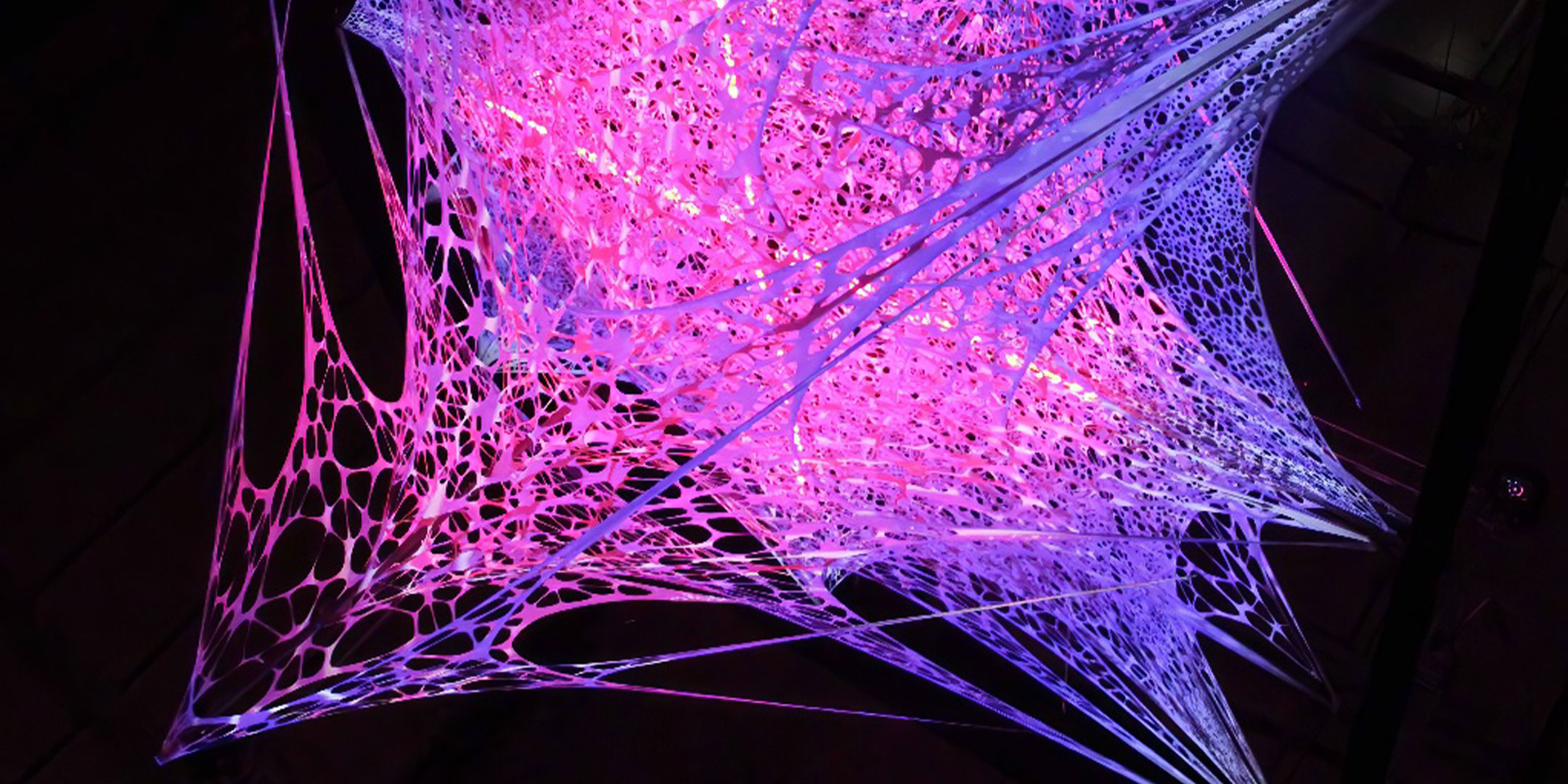 Pixel Lumière - Zing