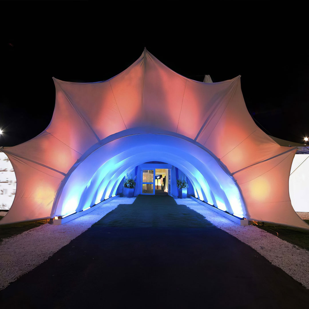 Arche Tunnels - Zing